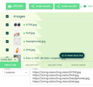 eBay image hosting handbook